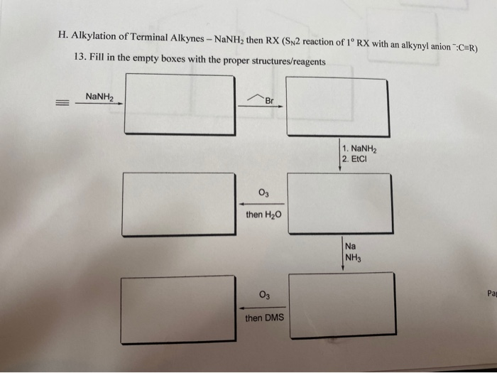 Solved H. Alkylation of Terminal Alkynes - NaNH2 then RX | Chegg.com