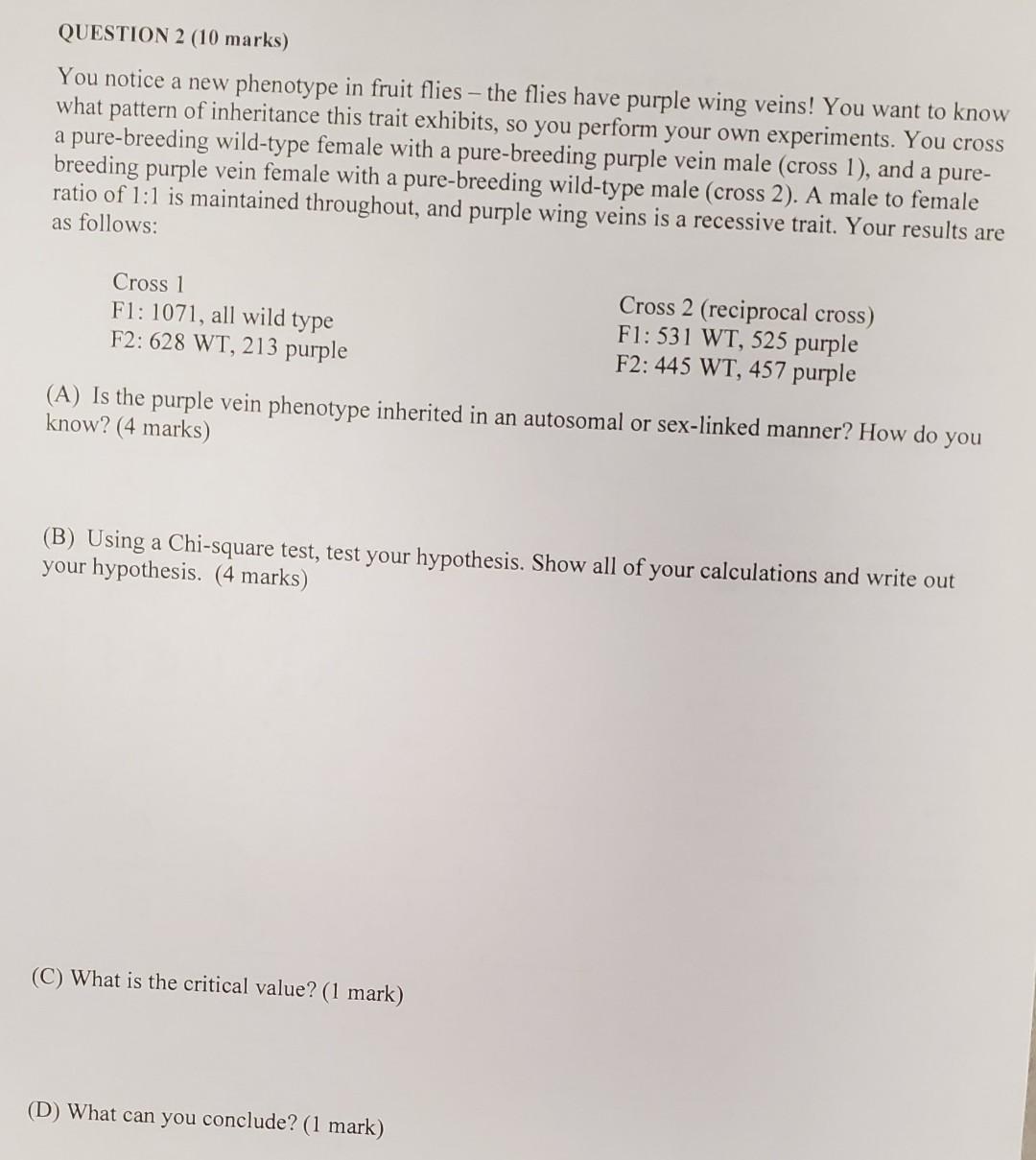 Solved QUESTION 2 (10 marks) You notice a new phenotype in | Chegg.com