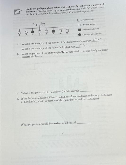 Solved 3 Study the pedigree chart below which shows the | Chegg.com