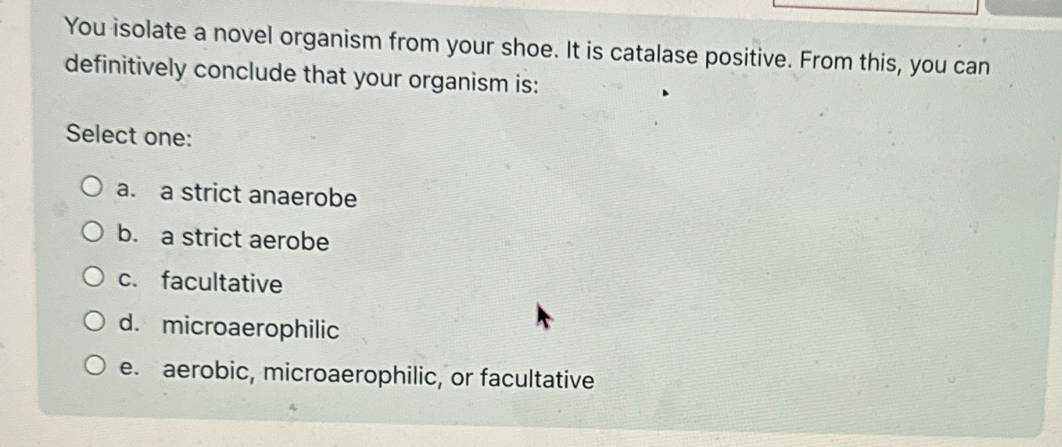 Solved You isolate a novel organism from your shoe. It is | Chegg.com
