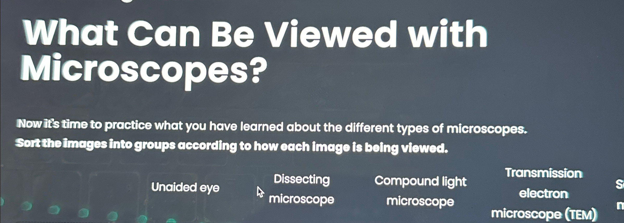 Solved What Can Be Viewed with Microscopes?Nowit's time to | Chegg.com