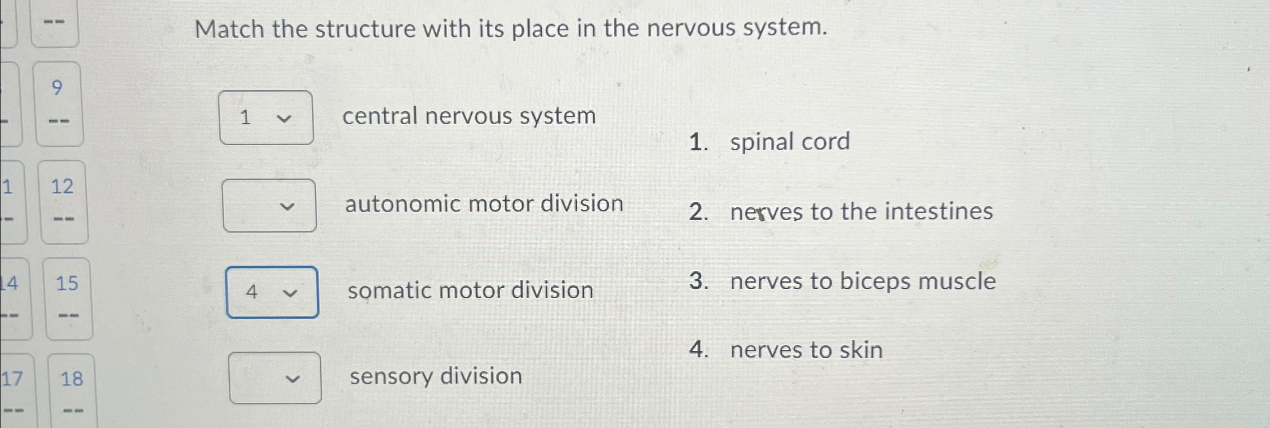 Solved Match the structure with its place in the nervous | Chegg.com