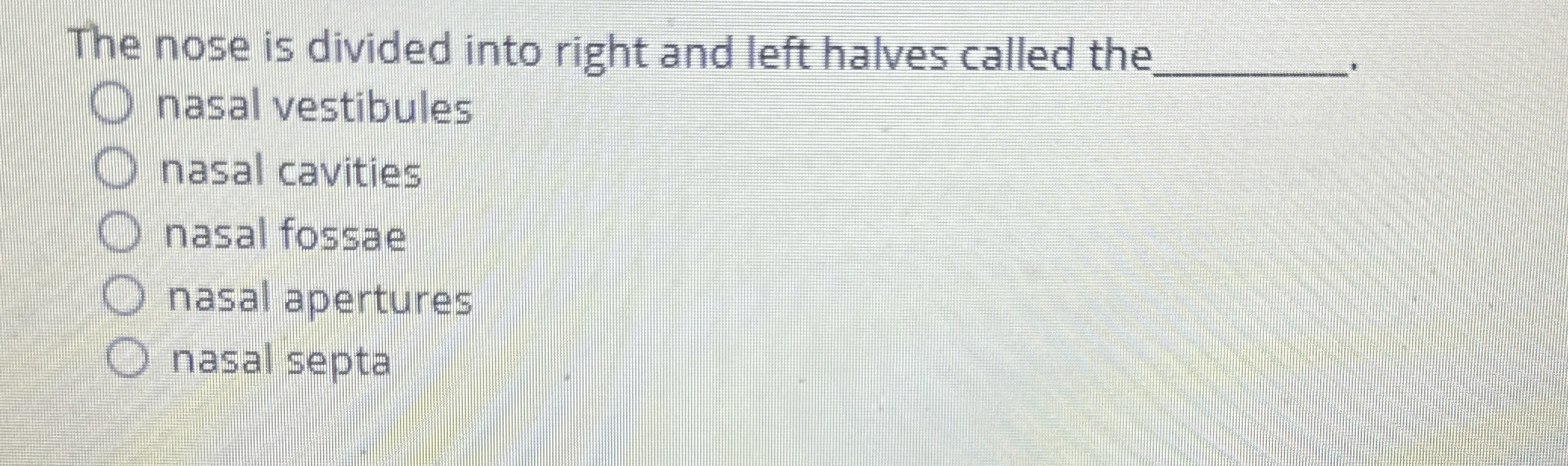 Solved The nose is divided into right and left halves called | Chegg.com