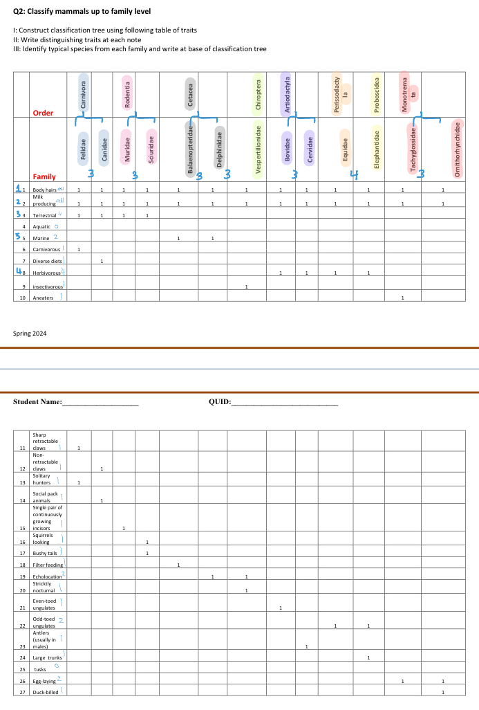 Solved Draw a phylogentic tree based on the tableI: | Chegg.com