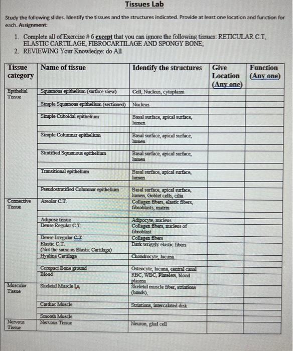 Solved Study the following slides. Identify the tissues and | Chegg.com