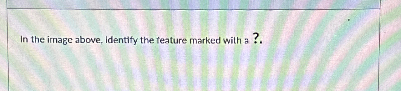 Solved In the image above, identify the feature marked with | Chegg.com