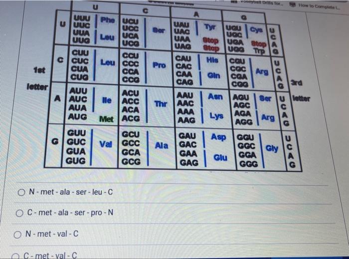 Solved The DNA sequence below comes from the coding strand | Chegg.com