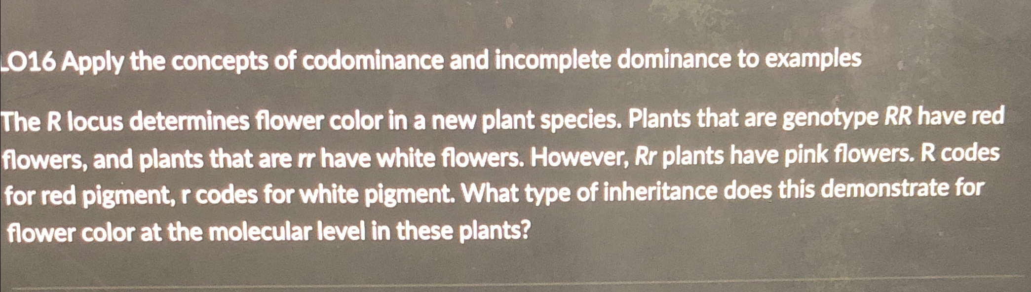Solved O16 ﻿Apply the concepts of codominance and incomplete | Chegg.com