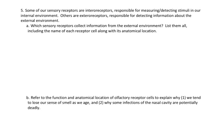Solved 5. Some of our sensory receptors are interoreceptors, | Chegg.com