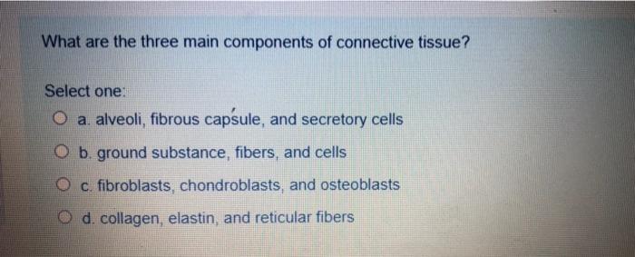Solved What Are The Three Main Components Of Connective Chegg