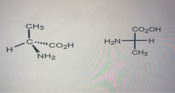 Solved CH3 _ "CO2H NH2 CO2OH H2NH CH3 | Chegg.com
