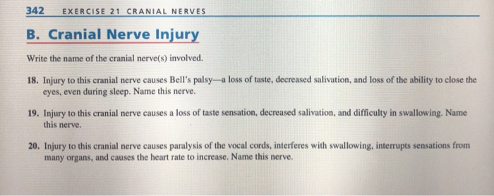 Solved 342 EXERCISE 21 CRANIAL NERVES B. Cranial Nerve | Chegg.com Solved 342 EXERCISE 21 CRANIAL NERVES B. Cranial Nerve | Chegg.com