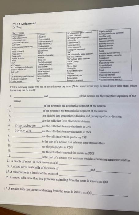 Solved Ch.12 Assignment Dr. Tang Ful the following blakb | Chegg.com