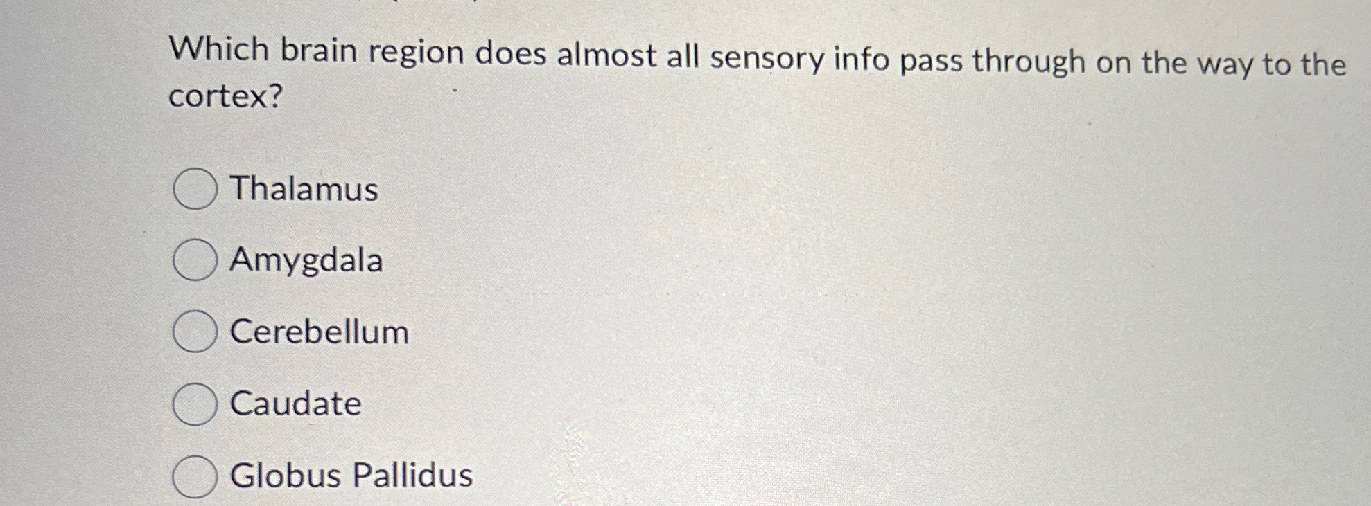 Solved Which brain region does almost all sensory info pass | Chegg.com