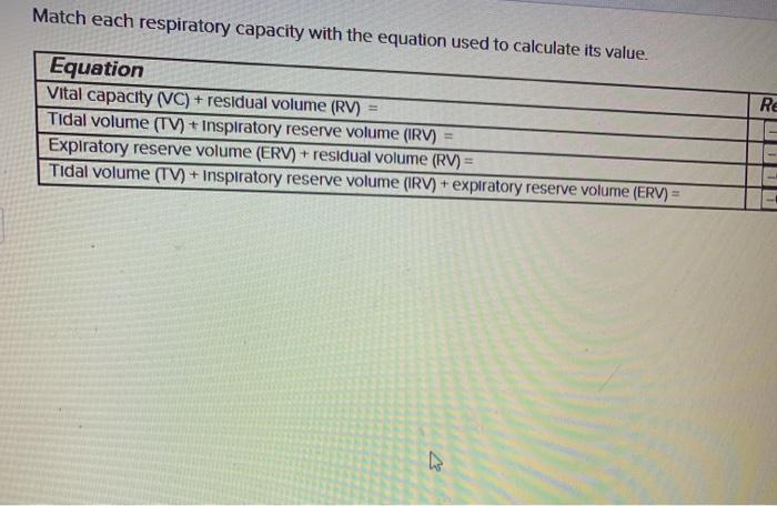 Solved Match each respiratory capacity with the equation | Chegg.com