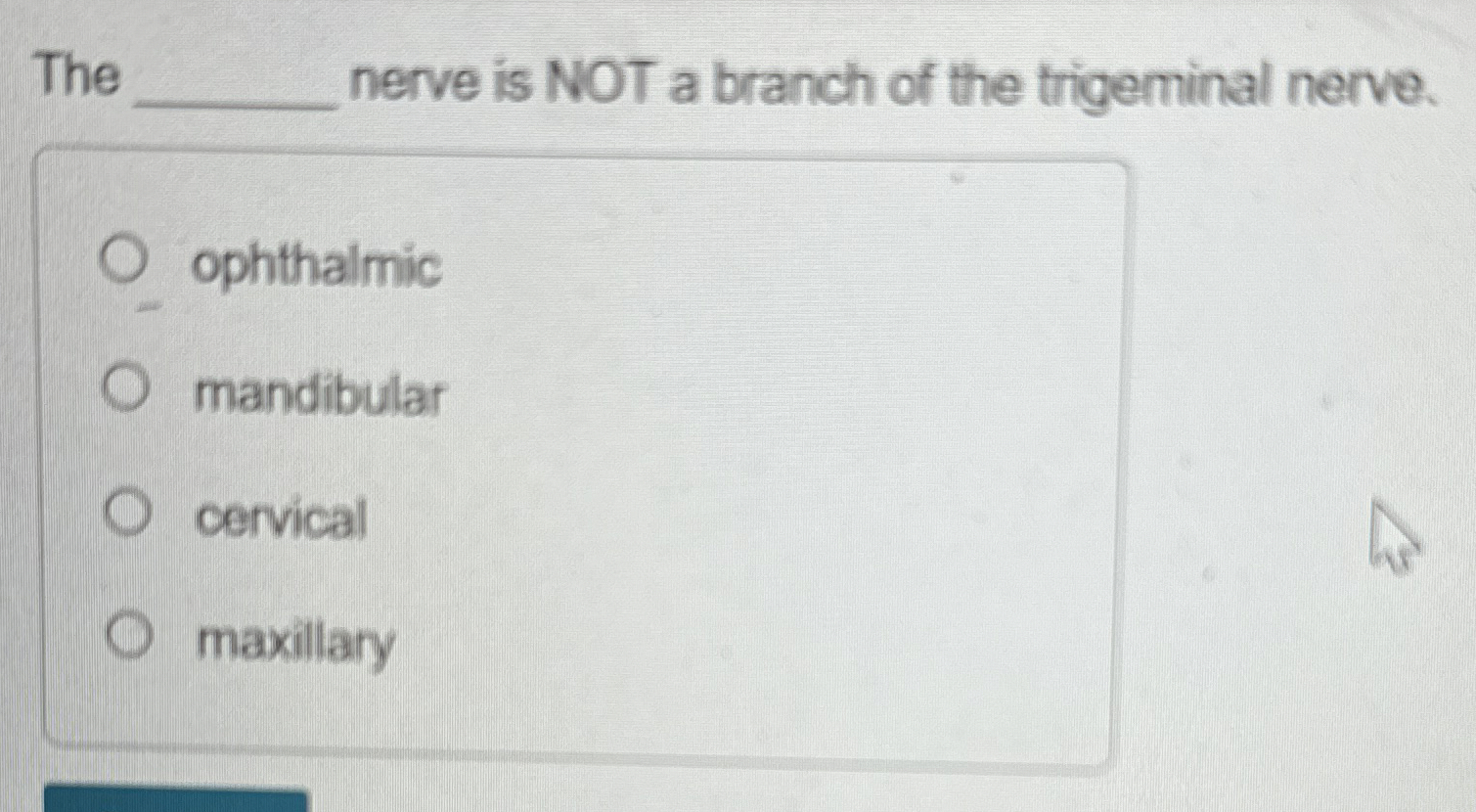 Solved The q, ﻿nerve is NOT a branch of the trigeminal | Chegg.com