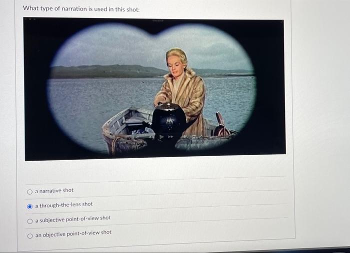 Solved What Type Of Narration Is Used In This Shot A Chegg