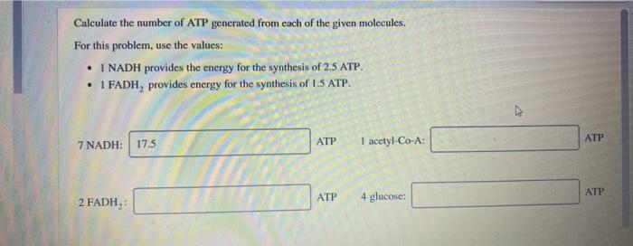 Solved Calculate the number of ATP generated from each of | Chegg.com
