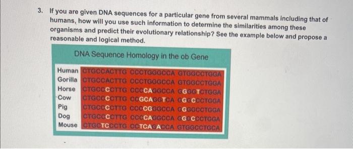 Solved If you are given DNA sequences for a particular gene | Chegg.com