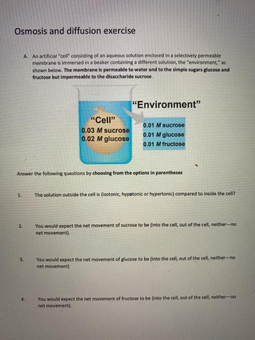 Solved Osmosis and diffusion exercise A. An artificial | Chegg.com