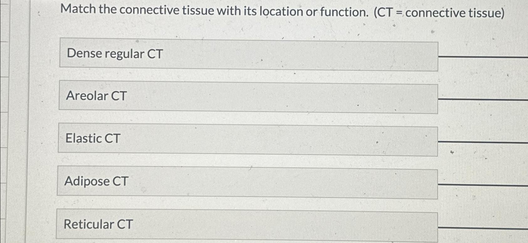 Solved Match the connective tissue with its location or | Chegg.com Solved Match the connective tissue with its location or | Chegg.com