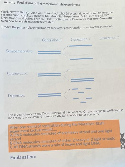 Solved Activity: Predictions of the Meselson-Stahl | Chegg.com