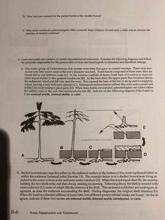 Solved NAME: SECTION: DATE: FOSSIL PRESERVATION AND | Chegg.com