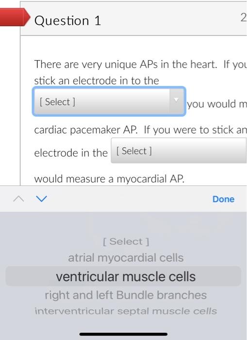 Solved Question 1 2/ 5 pts There are very unique APs in the | Chegg.com