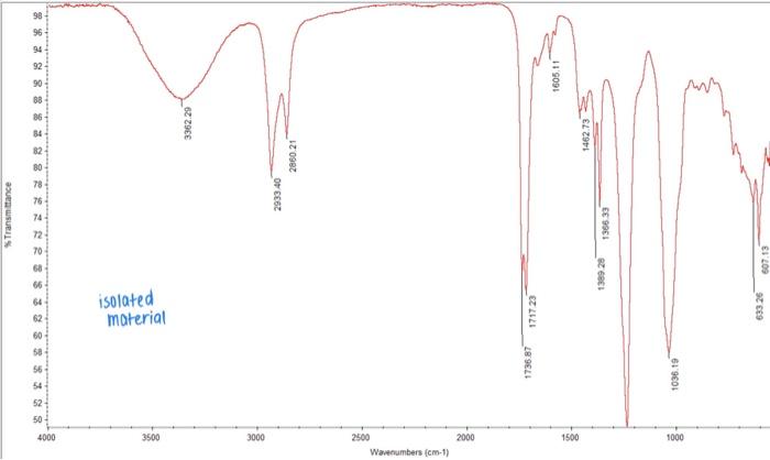Solved Looking at the IR spectrum, what important peaks are | Chegg.com