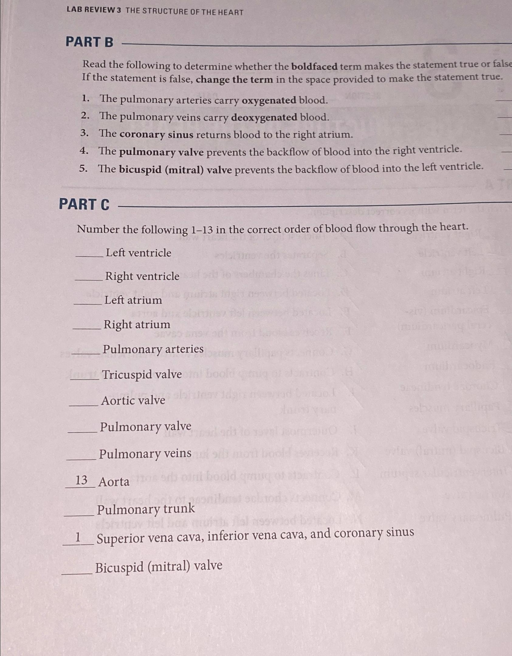 Solved LAB REVIEW 3 ﻿THE STRUCTURE OF THE HEARTPART BRead | Chegg.com