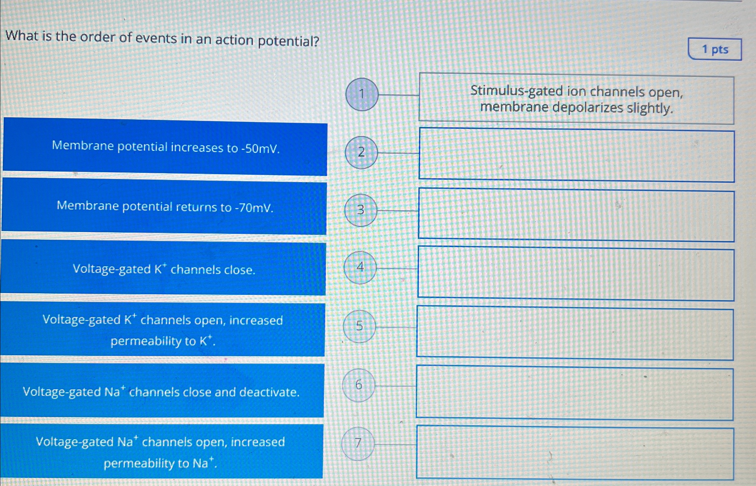 Solved What is the order of events in an action | Chegg.com