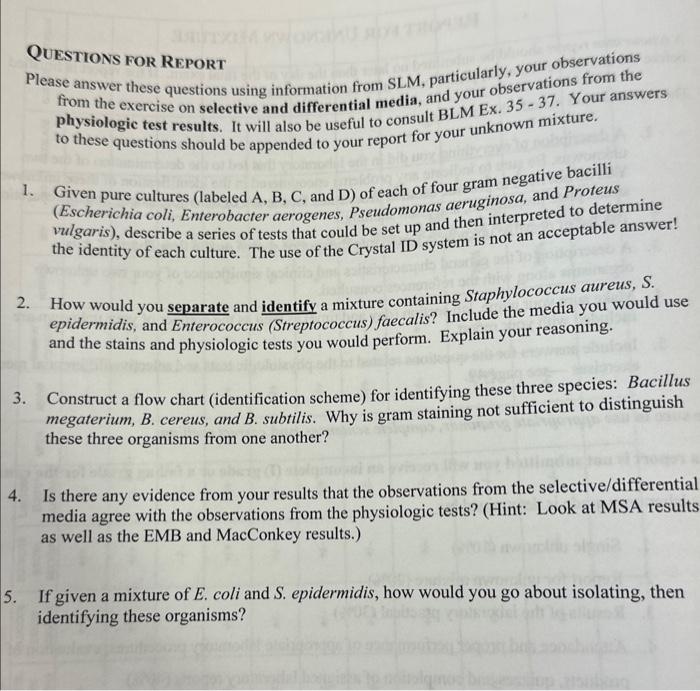 QUESTIONS FOR REPORT Please answer these questions | Chegg.com