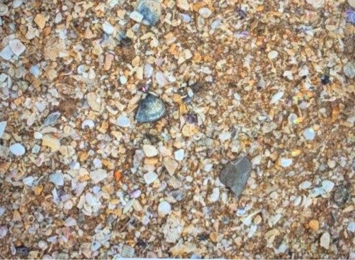 Solved DATA TABLE FOR SAND SAMPLES Sand B. | Chegg.com