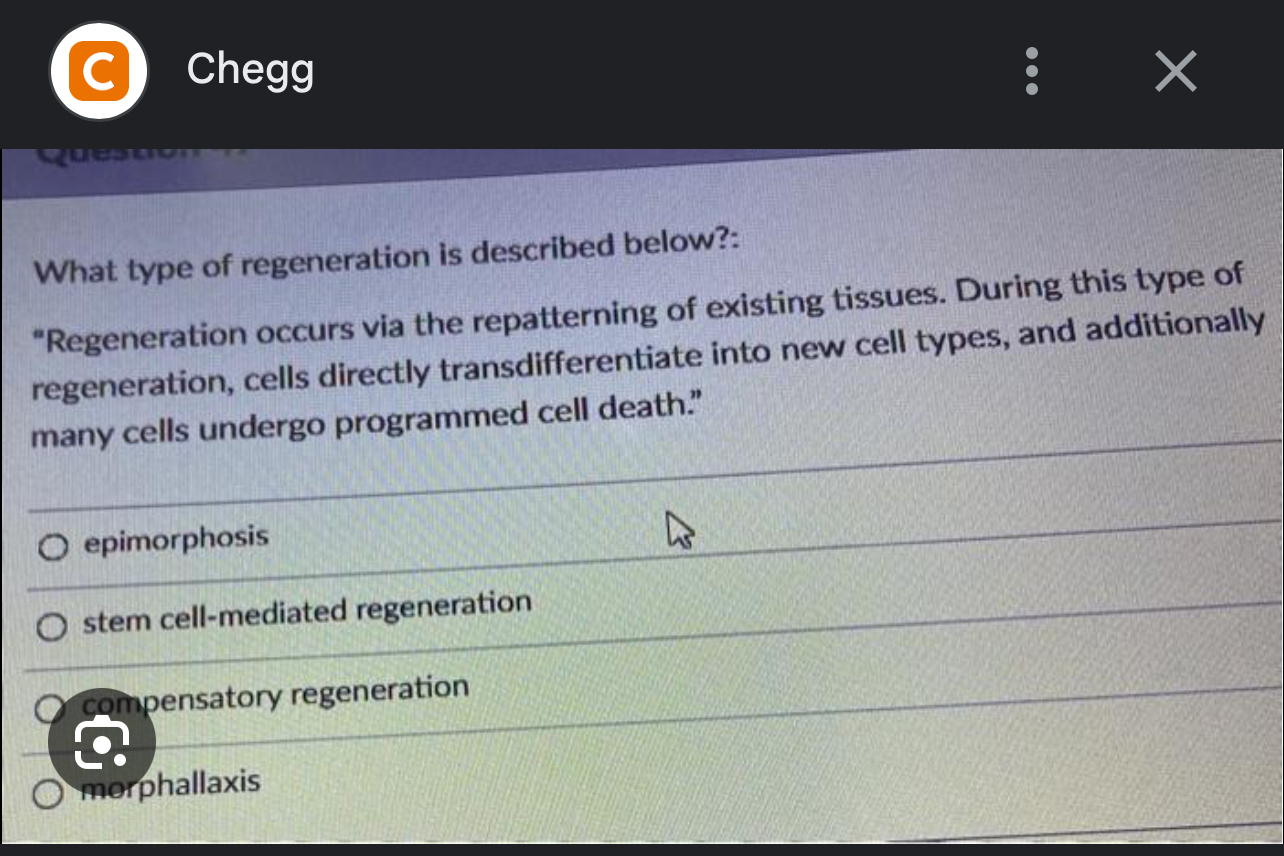 Solved (C)CheggWhat type of regeneration is described | Chegg.com