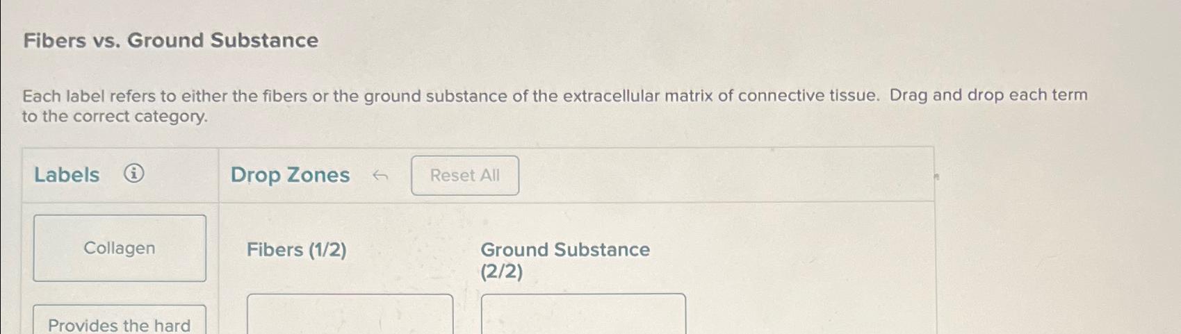 Solved Fibers vs. ﻿Ground SubstanceEach label refers to | Chegg.com