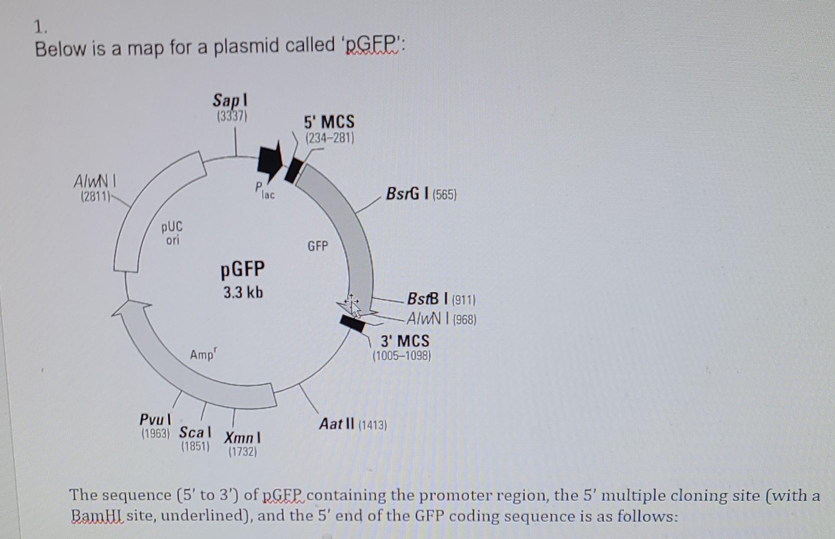 Solved 1. Below is a map for a plasmid called 'pGEP': The | Chegg.com