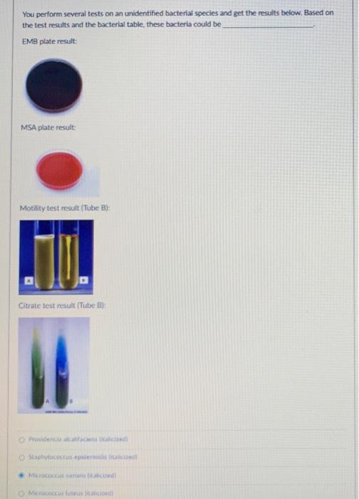 You perform several tests on an unidentified | Chegg.com
