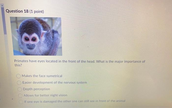 Solved Question 18 (1 point) Primates have eyes located in | Chegg.com
