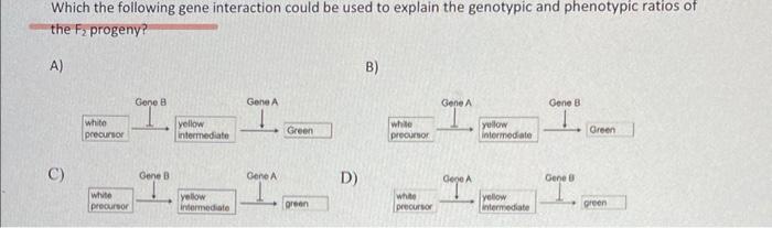 Solved Which the following gene interaction could be used to | Chegg.com