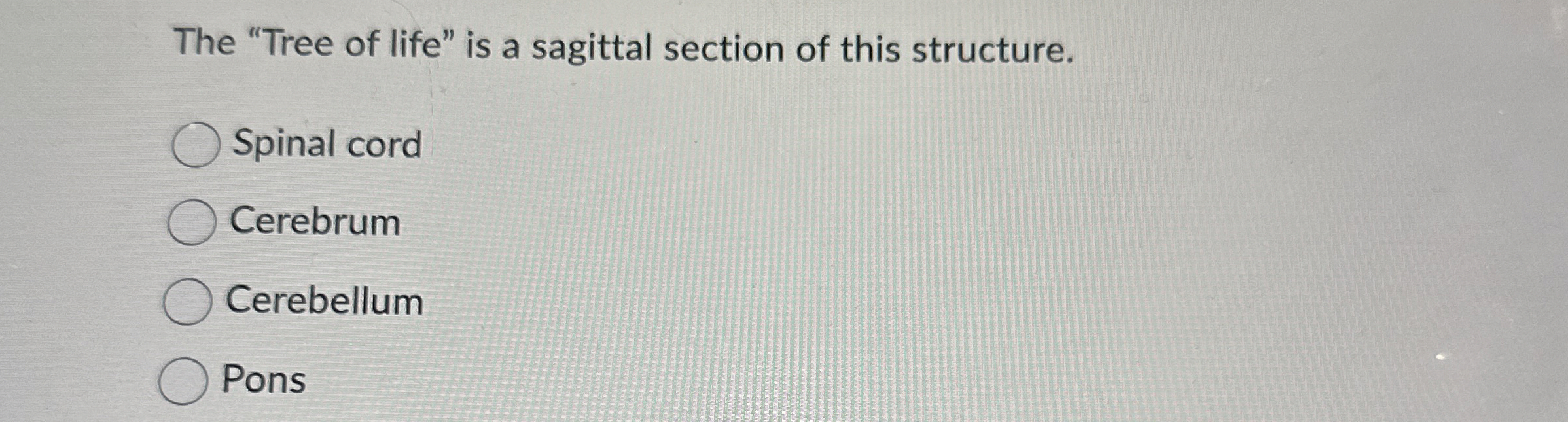 Solved The "Tree of life" is a sagittal section of this | Chegg.com