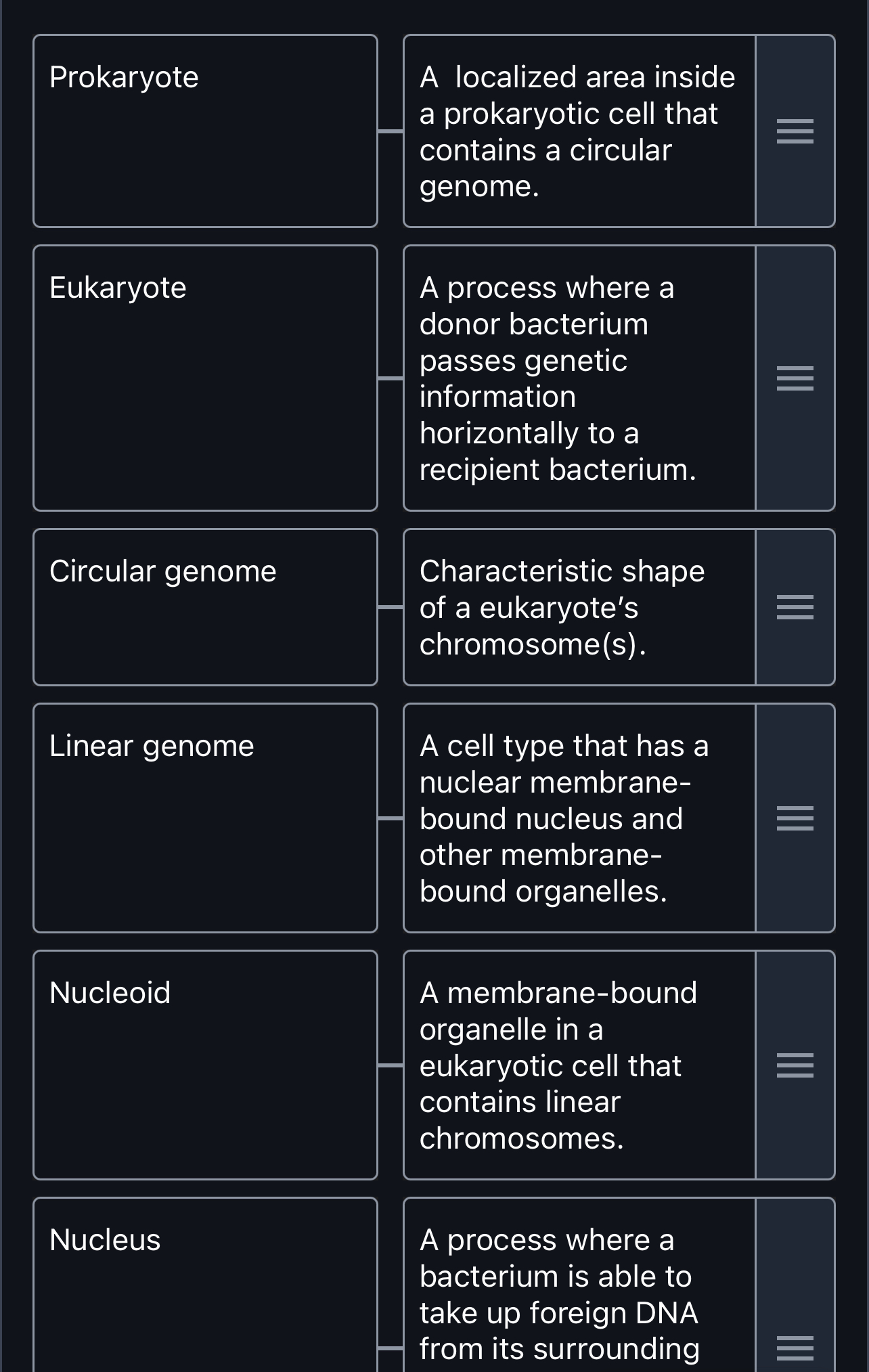 Solved ProkaryoteA localized area inside a prokaryotic cell | Chegg.com