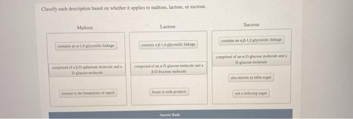 Solved Classify each description based on whether it applies | Chegg.com