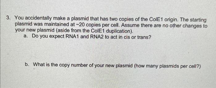 Solved 3. You accidentally make a plasmid that has two | Chegg.com