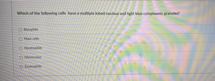 Solved Which of the following cells have a multiple lobed | Chegg.com