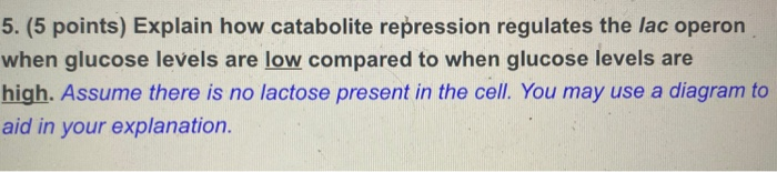 Solved 5. (5 points) Explain how catabolite repression | Chegg.com