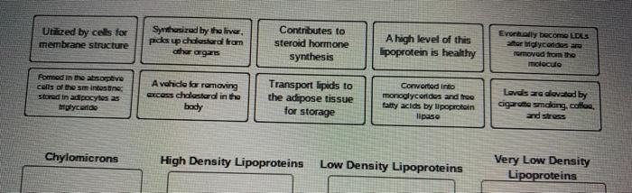 Solved Read each characteristic or function below. Then, | Chegg.com