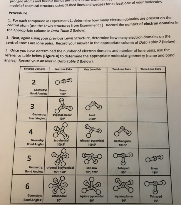 pronged atoms and flexible model of chemical | Chegg.com