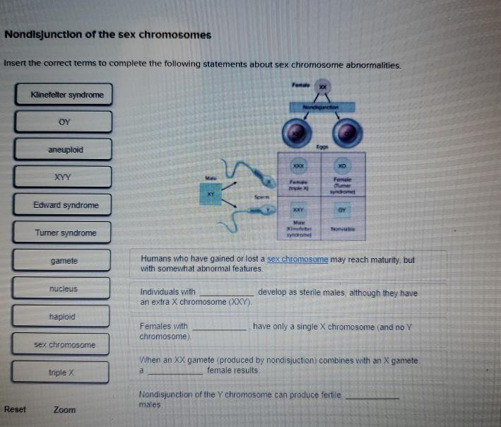 Solved Nondisjunction Of The Sex Chromosomes Insert The