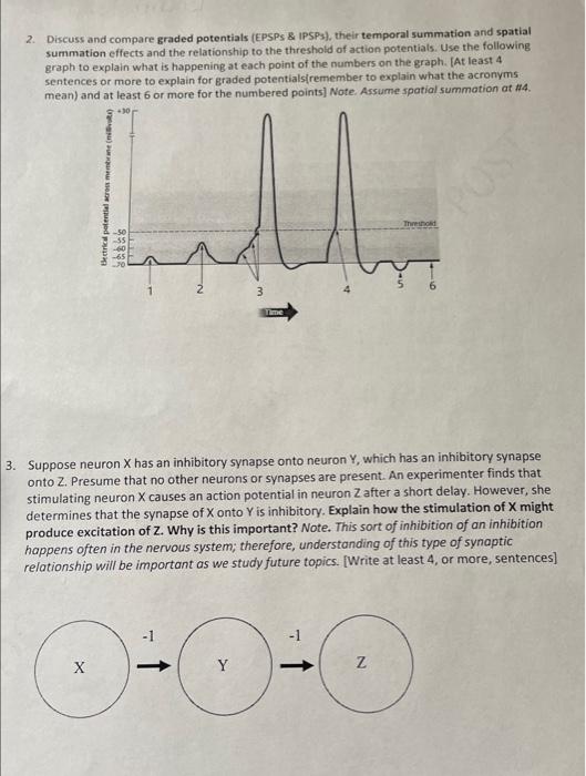 2. Discuss and compare graded potentials (EPSPs \& | Chegg.com