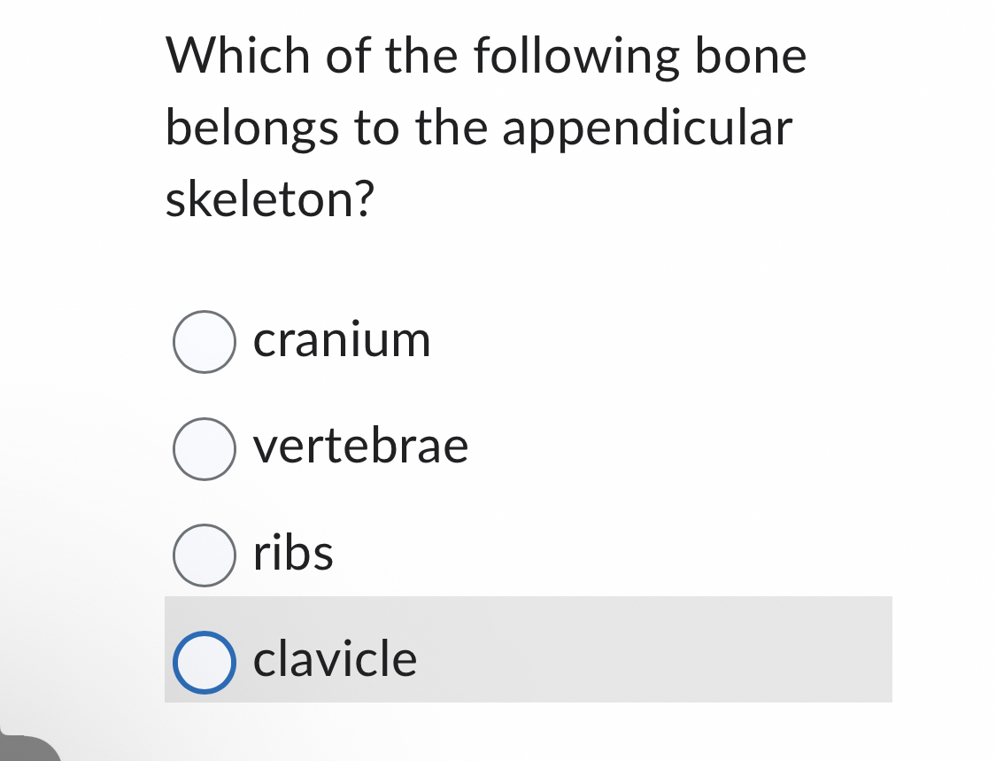 Solved Which of the following bone belongs to the | Chegg.com